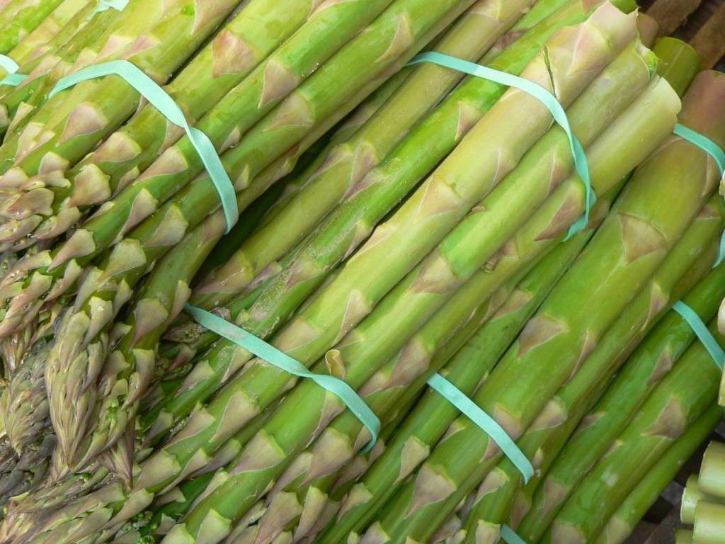 About Asparagus (yes, the smelly pee part too) - Build Nutrition